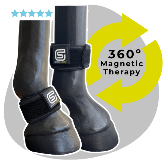 EQU StreamZ Magnetic Horse Bands | Magnetic Therapy for Horses – StreamZ (UK)