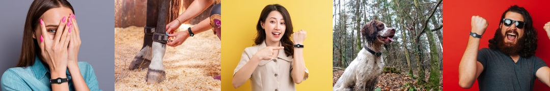 Windgalls in Horses | Symptoms, Causes & Treatments – StreamZ Global